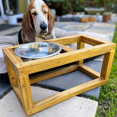 Dog Stairs - Pallet Wood Creations